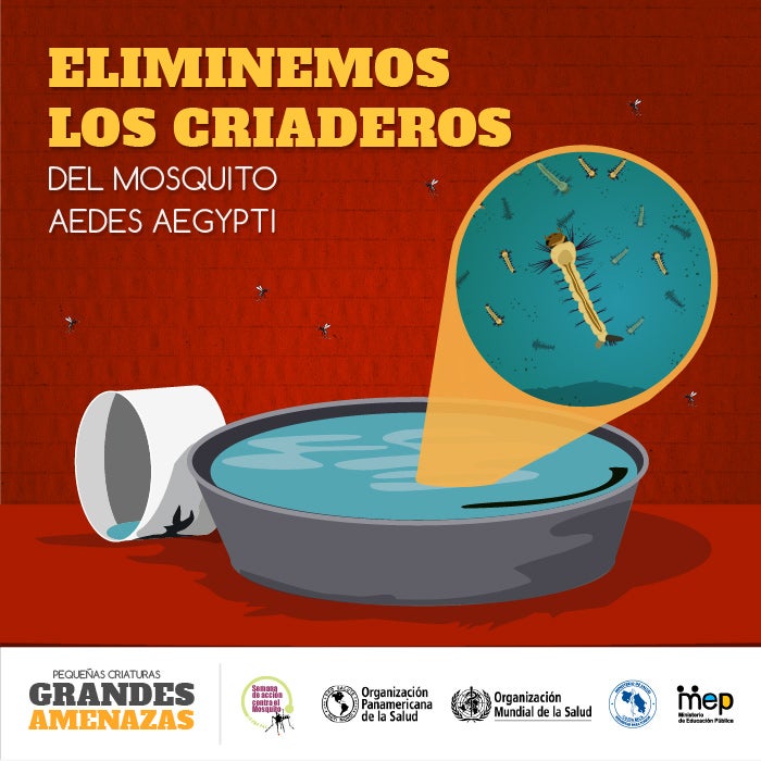 Costa Rica: Postal para redes sociales - Eliminemos los criaderos del ...