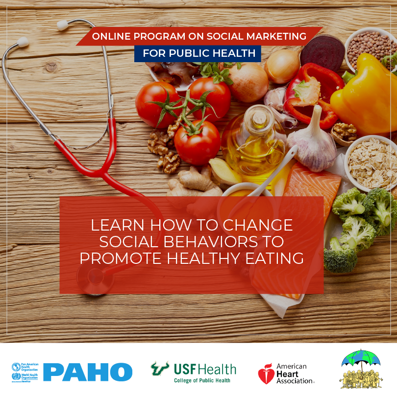 LAUNCH OF THE ONLINE PROGRAM ON SOCIAL MARKETING FOR PUBLIC HEALTH - 14 ...