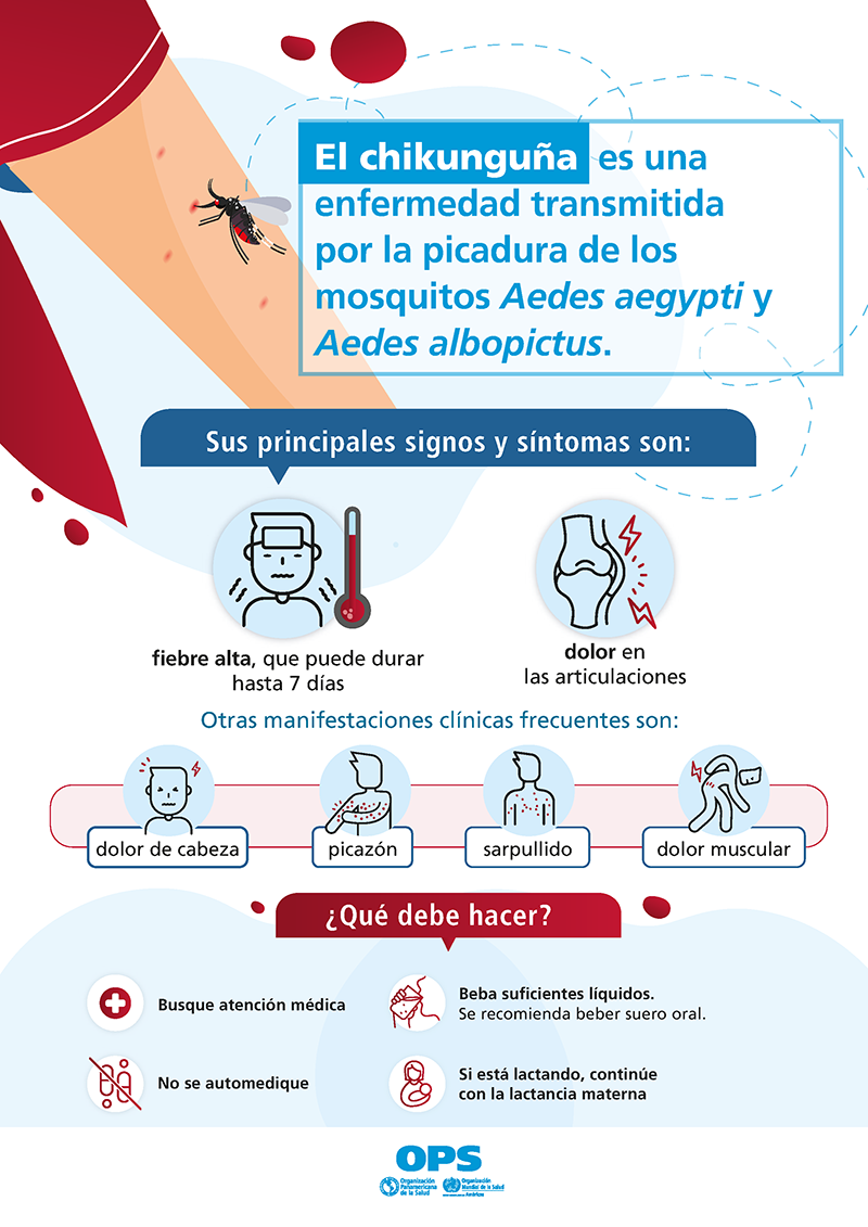 Materiales de comunicación para la prevención del dengue, chikunguña y zika - OPS/OMS ...