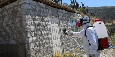 Chagas disease - PAHO/WHO | Pan American Health Organization