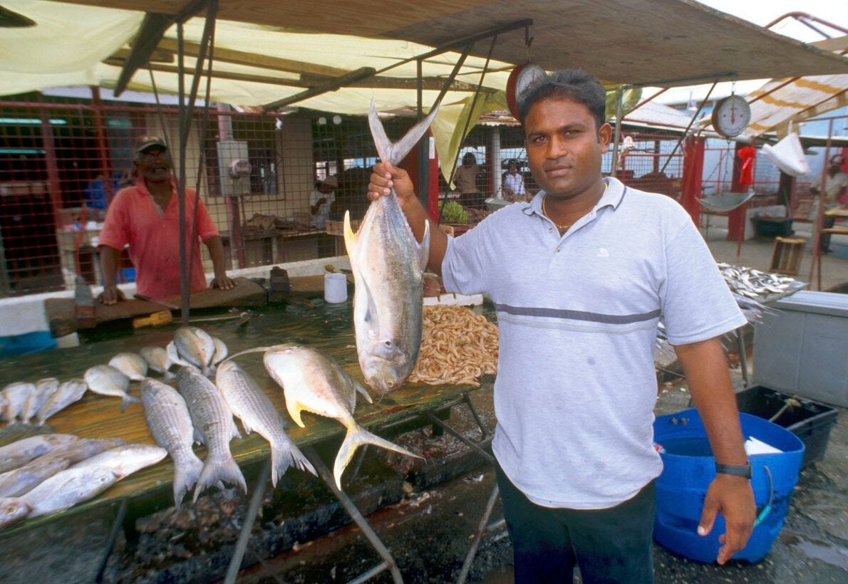 Anniversary Photo Exhibit: Food Safety - PAHO/WHO | Pan American Health ...
