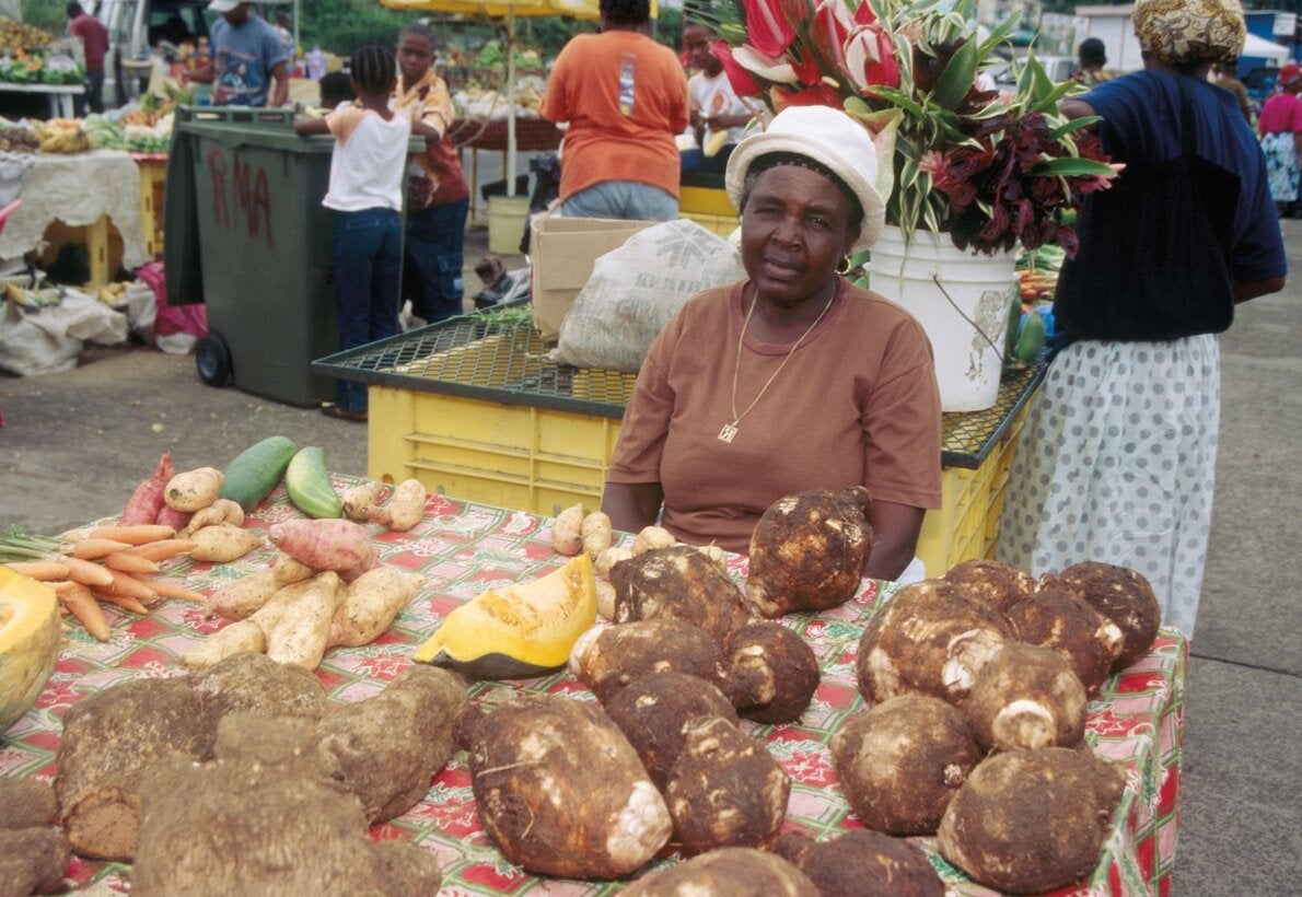Anniversary Photo Exhibit: Food Safety - PAHO/WHO | Pan American Health ...