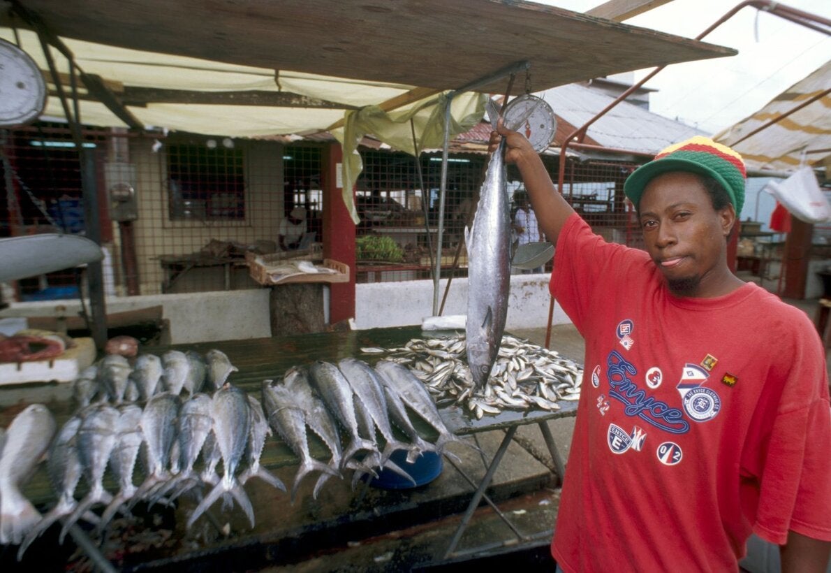 Anniversary Photo Exhibit: Food Safety - PAHO/WHO | Pan American Health ...