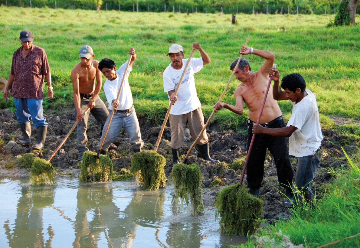 Exposición fotográfica del aniversario: La lucha contra el paludismo ...