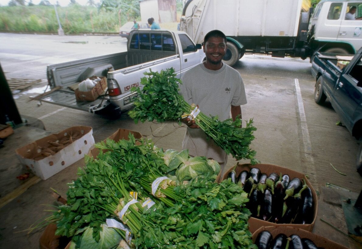 Anniversary Photo Exhibit: Food Safety - PAHO/WHO | Pan American Health ...