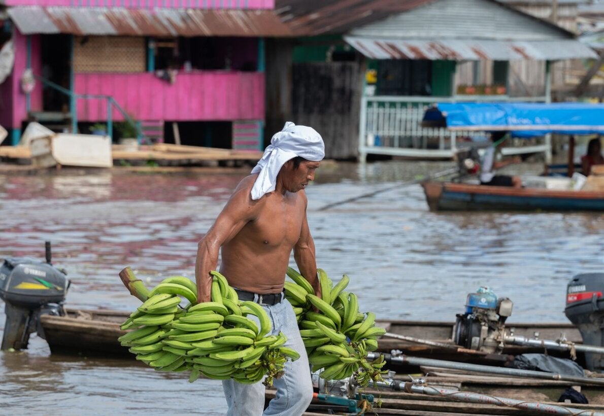 Anniversary Photo Exhibit: Food Safety - PAHO/WHO | Pan American Health ...