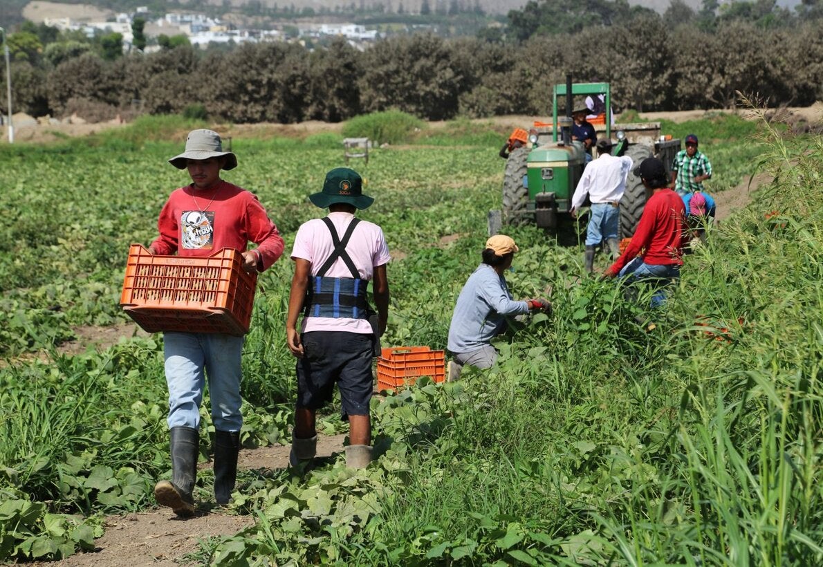 Anniversary Photo Exhibit: Food Safety - PAHO/WHO | Pan American Health ...