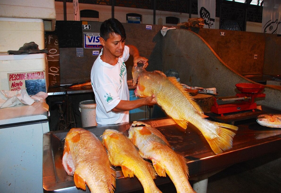 Anniversary Photo Exhibit: Food Safety - PAHO/WHO | Pan American Health ...