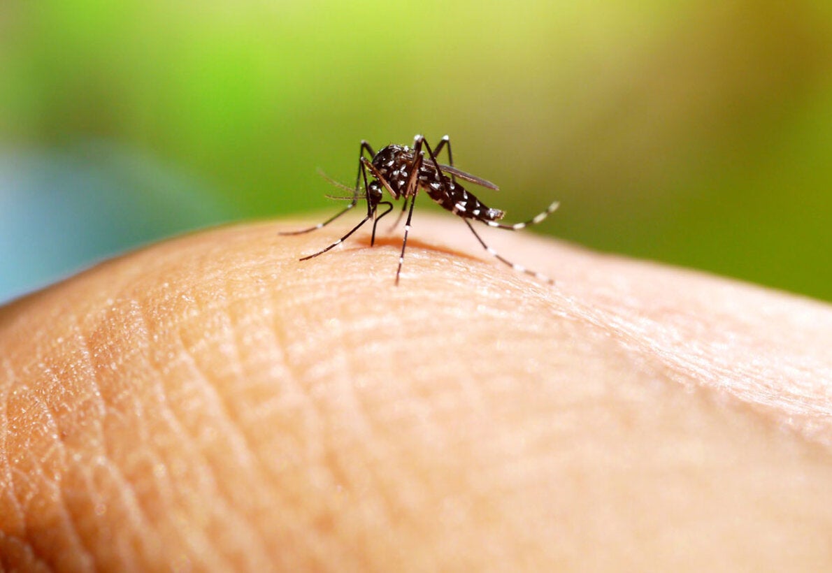 From the Americas: Success Stories in the Fight against Noncommunicable Diseases - PAHO/WHO ...