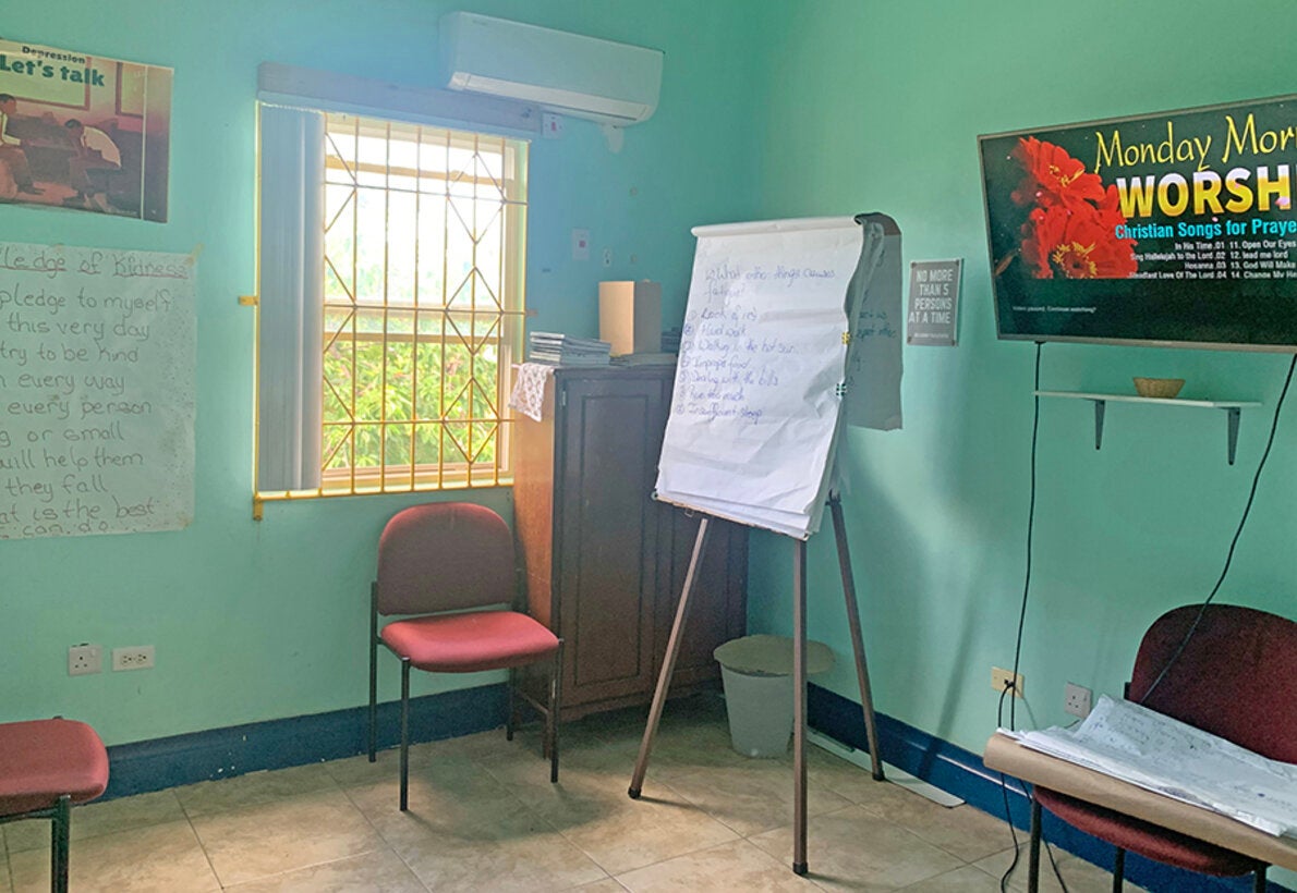 The Federation of St. Kitts & Nevis Dr. Arthur W. L. Lake Mental Health ...