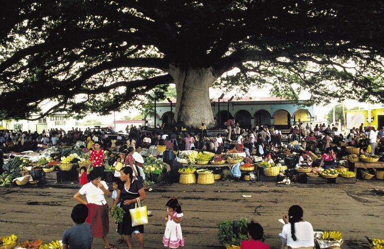 Anniversary Photo Exhibit: Food Safety - PAHO/WHO | Pan American Health ...