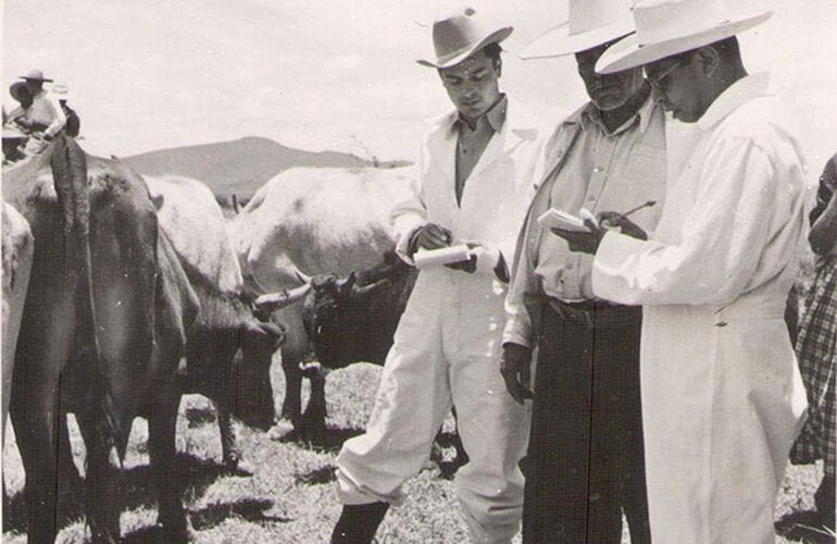 Anniversary Photo Exhibit: Veterinary Public Health - PAHO/WHO | Pan ...