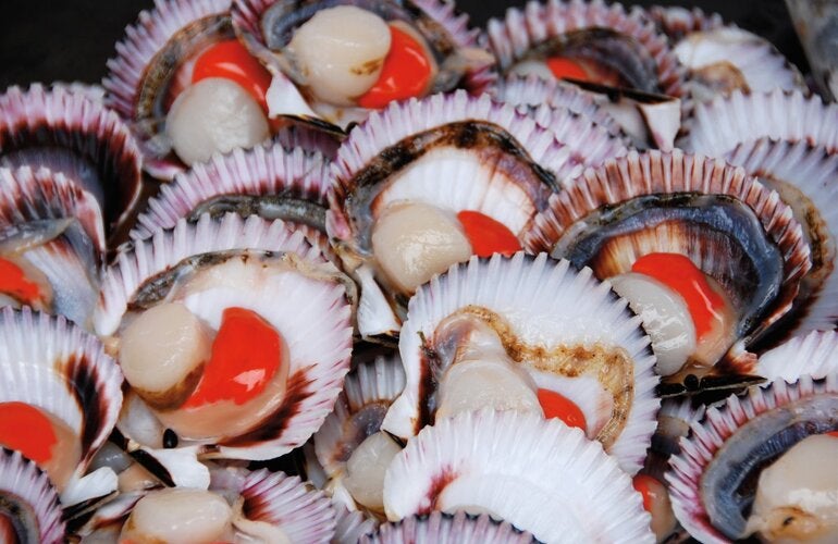 Anniversary Photo Exhibit: Food Safety - PAHO/WHO | Pan American Health ...