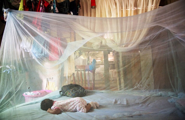 Anniversary Photo Exhibit: The Fight Against Malaria - PAHO/WHO | Pan ...