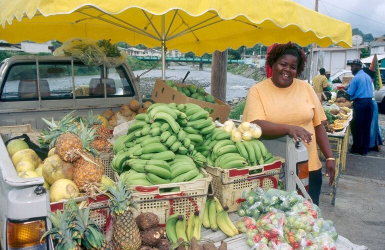 Anniversary Photo Exhibit: Food Safety - PAHO/WHO | Pan American Health ...