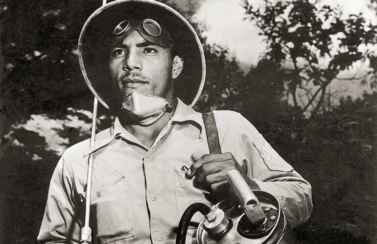 Exposición fotográfica del aniversario: La lucha contra el paludismo ...