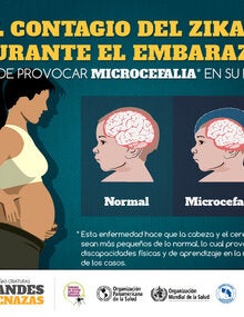 Documents - OPS/OMS | Organización Panamericana de la Salud