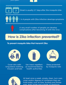 Infographic: What is Zika? Version 2; 2016 - PNG Version - PAHO/WHO ...
