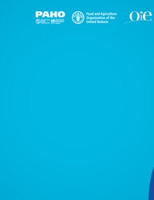 Background for webinars nº1 - PAHO/WHO | Pan American Health Organization