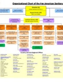 Organizational Chart of the Pan American Sanitary Bureau - PAHO/WHO ...