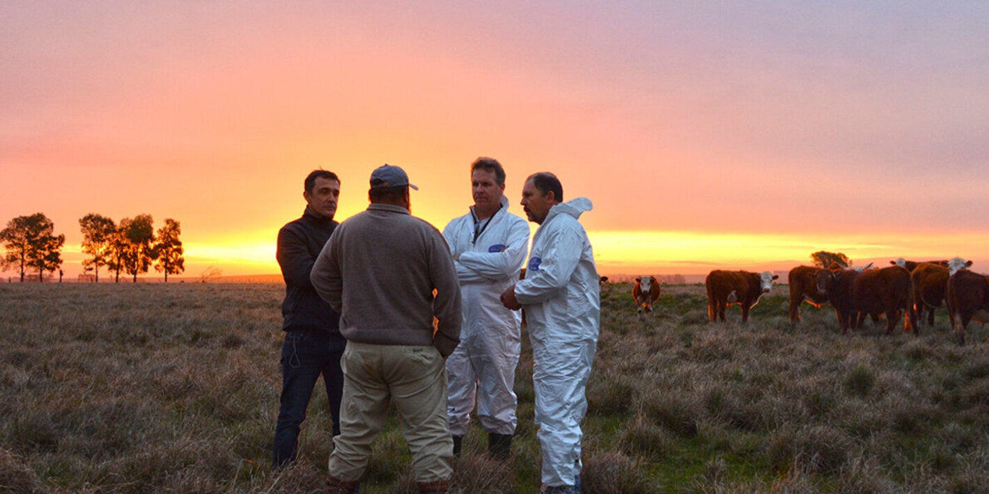 Food Safety - PAHO/WHO | Pan American Health Organization