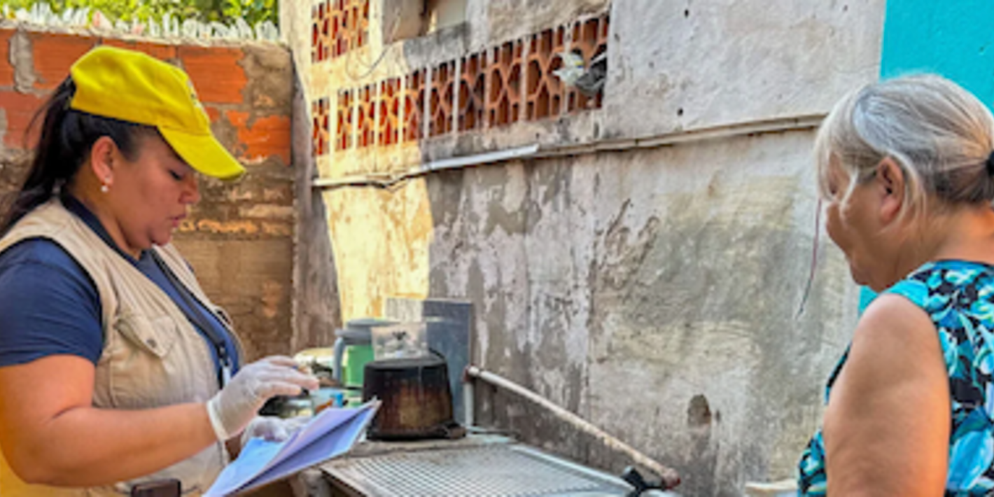 Dengue - PAHO/WHO | Pan American Health Organization