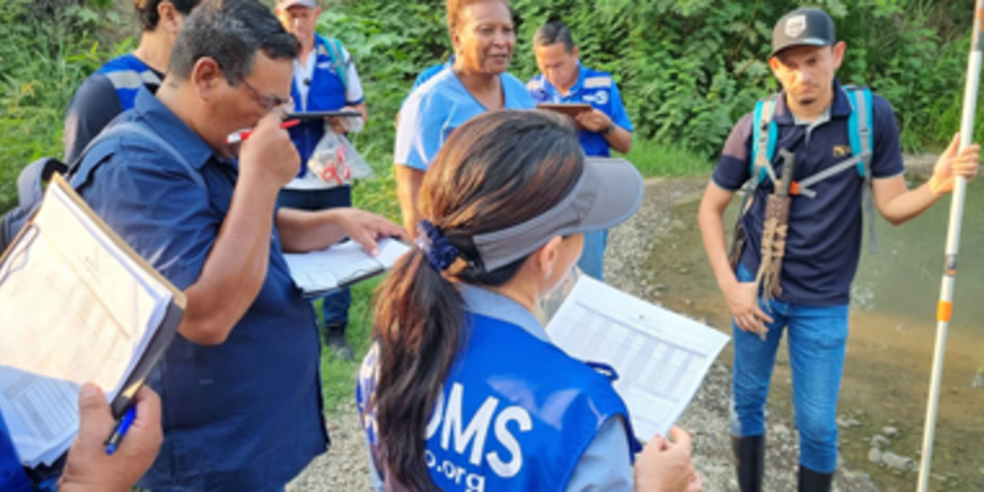 Dengue - OPS/OMS | Organización Panamericana de la Salud