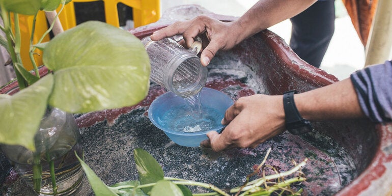 Zika: : Symptoms, Prevention and Treatments - PAHO/WHO