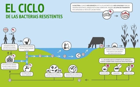 Semana Mundial de Concientización sobre el Uso de los Antimicrobianos ...