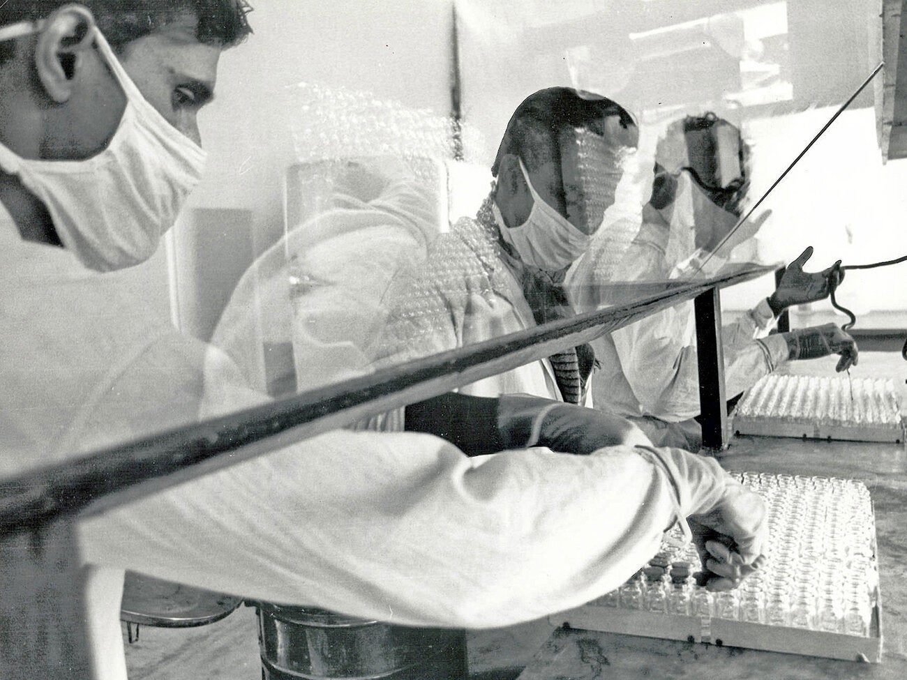 Immunization Toolkit - PAHO/WHO | Pan American Health Organization