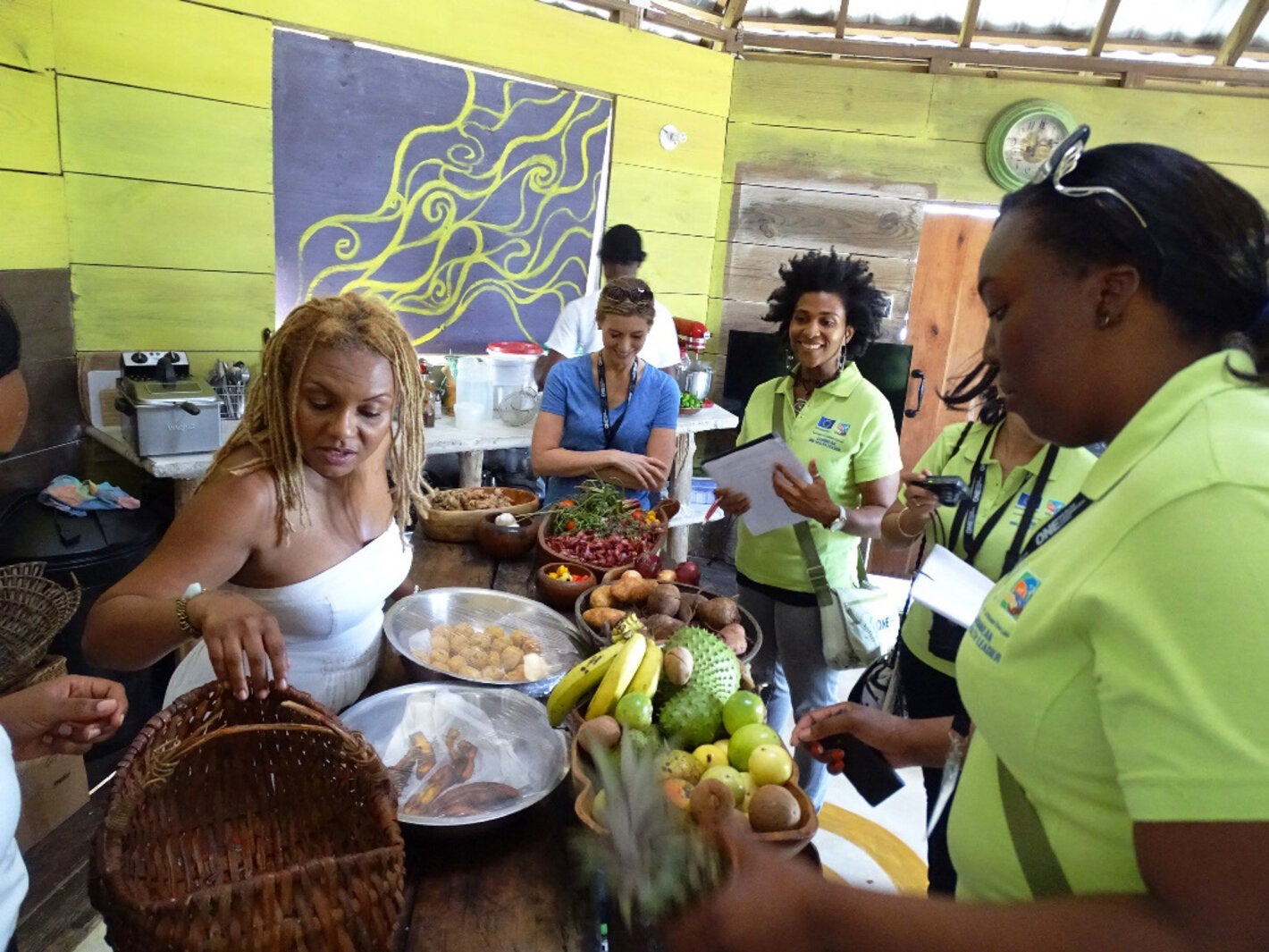 Second Module of One Health Leadership Series held in Jamaica - OPAS ...