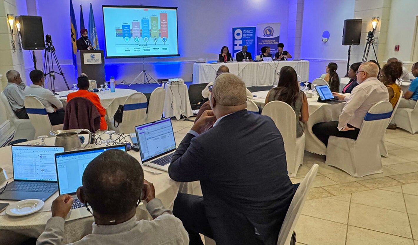 Barbados advances information systems for health with stakeholder ...