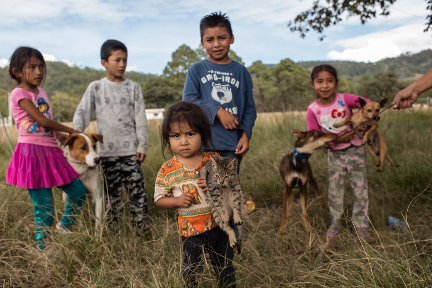 Anniversary Photo Exhibit: Veterinary Public Health - PAHO/WHO | Pan ...