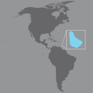 About PAHO/WHO Barbados - PAHO/WHO | Pan American Health Organization