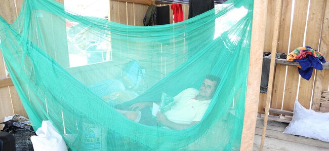 WHO and partners launch new country-led response to put stalled malaria ...