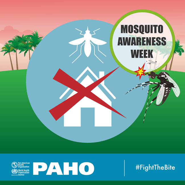 Mosquito awareness week 2018-2019: Postcard for social media - 400mts ...