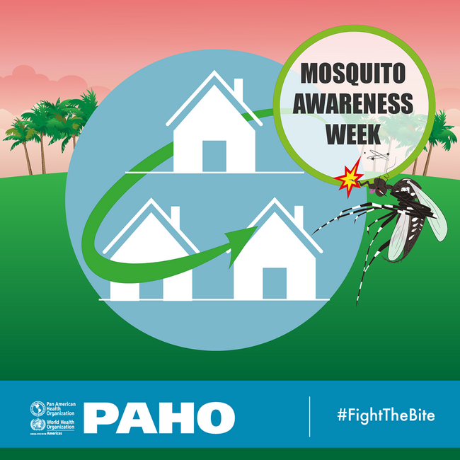 Mosquito awareness week 2018-2019: Postcard for social media ...