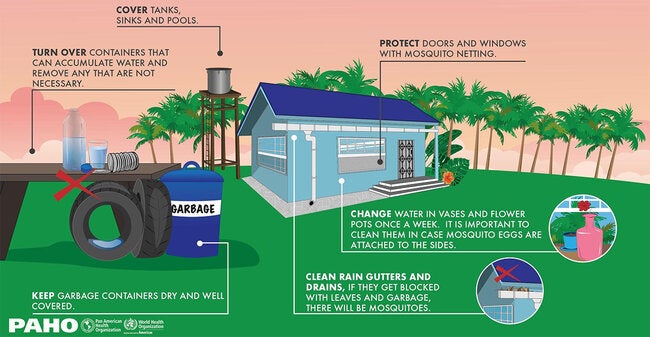 End the Fight - Be Dengue Aware - PAHO/WHO | Pan American Health ...