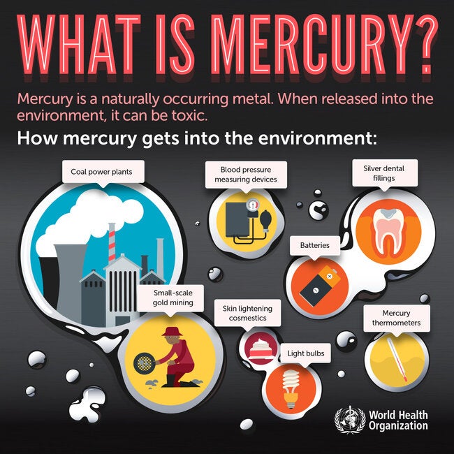 Infographic. What's mercury?; 2017 - PAHO/WHO | Pan American Health ...