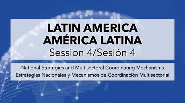 Latin America session on national strategies and multisectoral ...