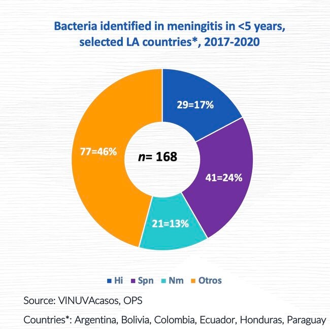 Meningococcus - PAHO/WHO | Pan American Health Organization