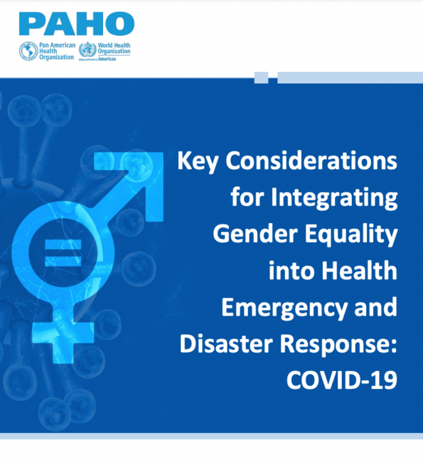 Key Considerations for Integrating Gender Equality into Health ...