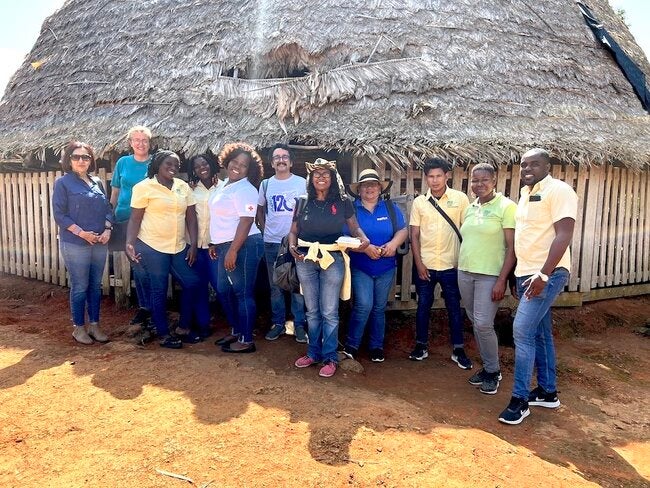 Bringing Malaria Prevention and Outreach to Apetina, Suriname: A ...